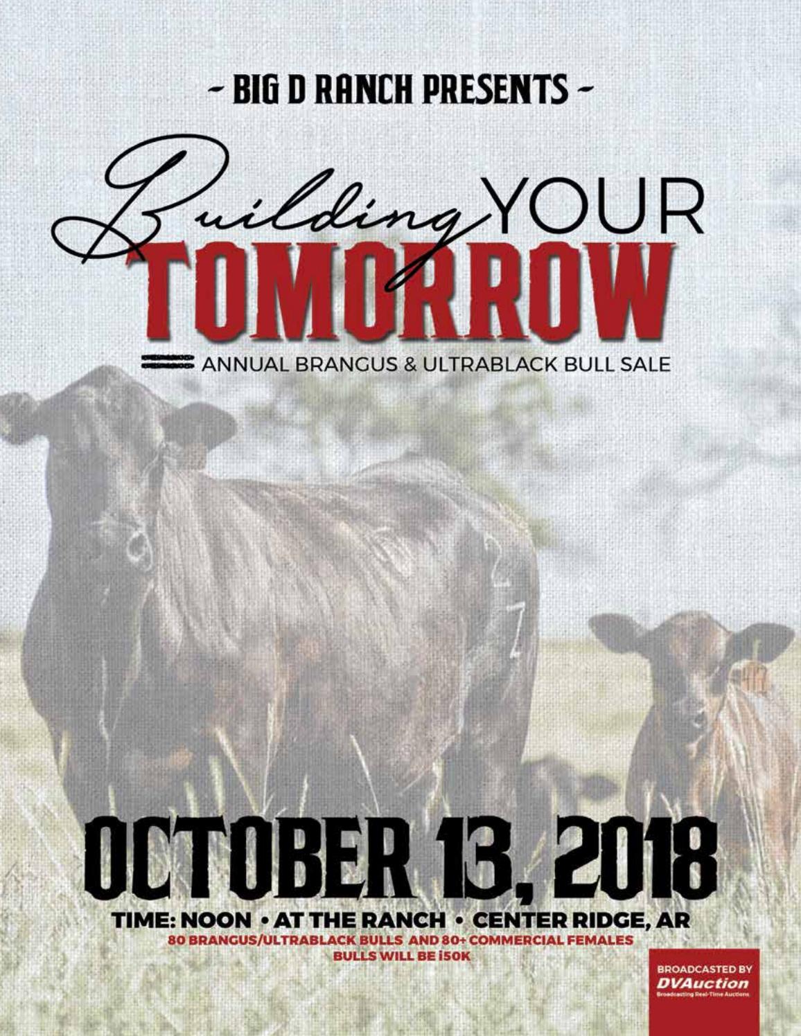 2018 Big D Ranch "Building Your Tomorrow" Annual Brangus & Ultrablack ...