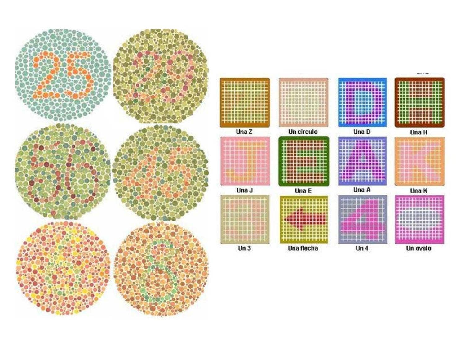 El arte y técnica de percibir la imagen by sarafsuela - Issuu