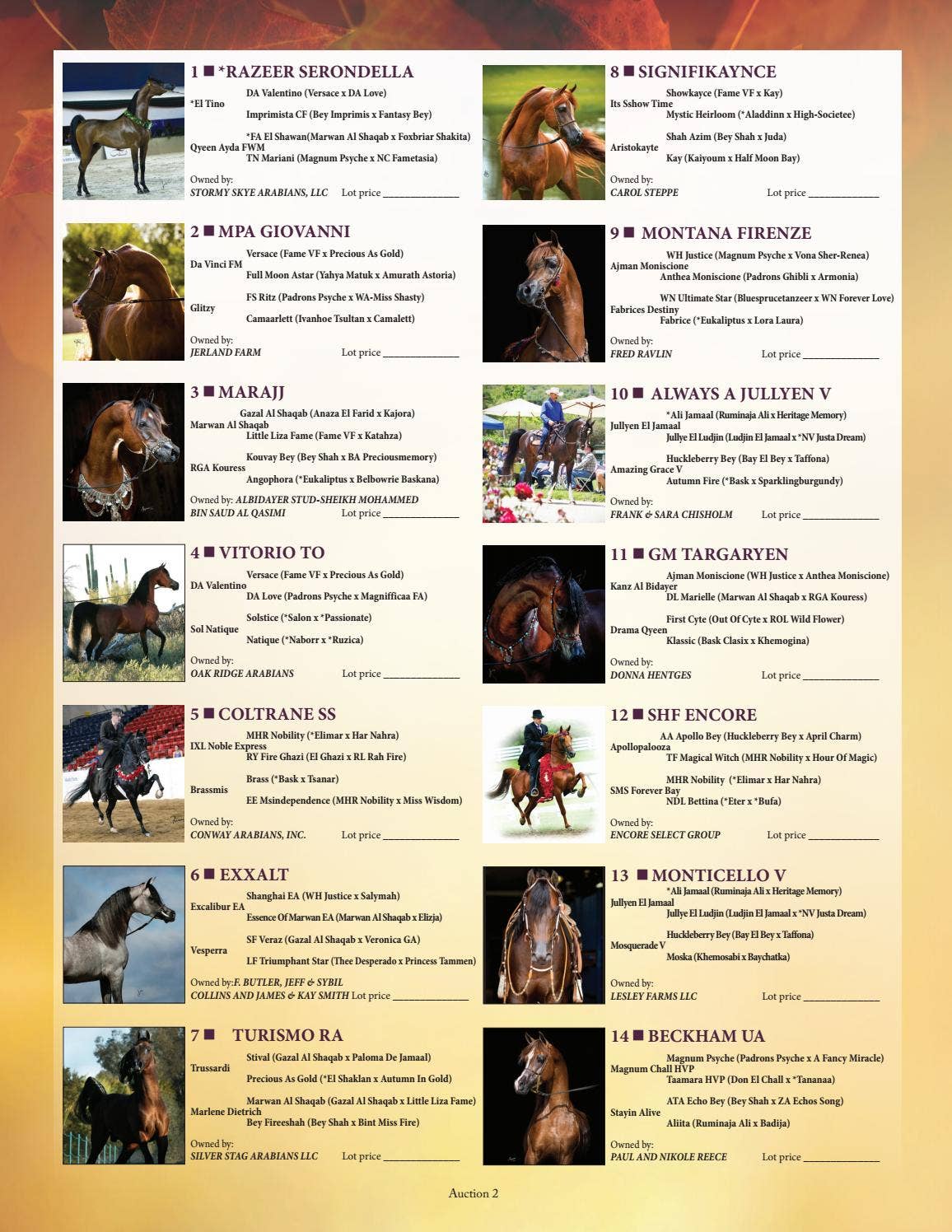 2018 Medallion Stallion Service Auction by Arabian Horse Times - Issuu