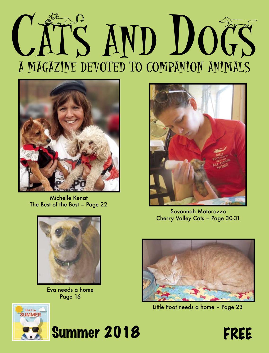 Cats & Dogs Magazine by Cats and Dogs, a Magazine Devoted to Companion ...