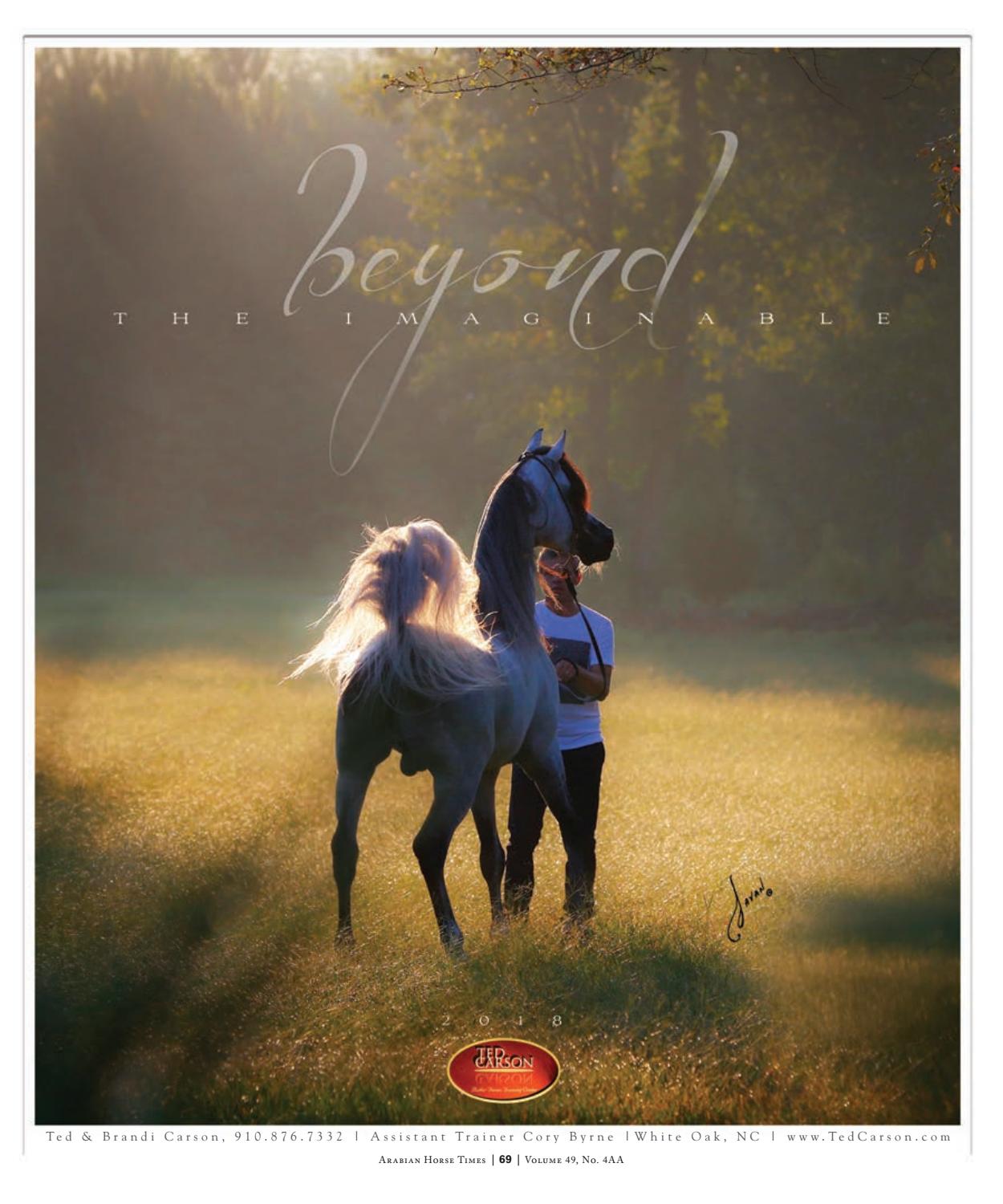 Ted Carson Training, 2018, published in Arabian Horse Times by Arabian ...