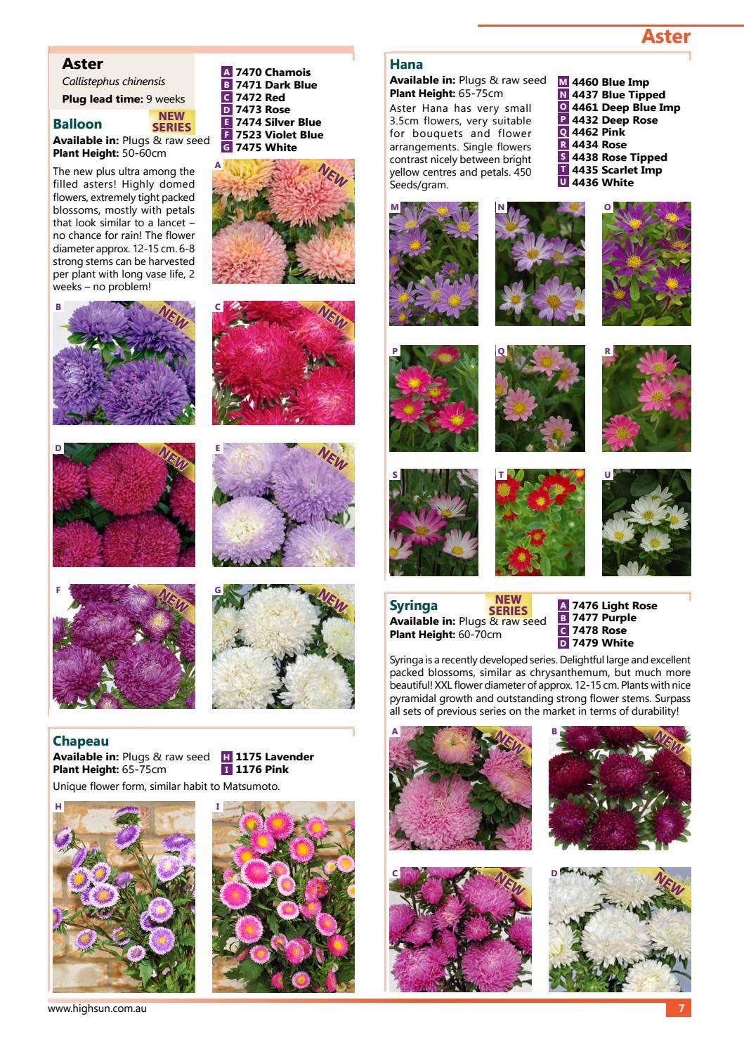 2019-20 Cut Flower Catalogue by Highsun Express - Issuu