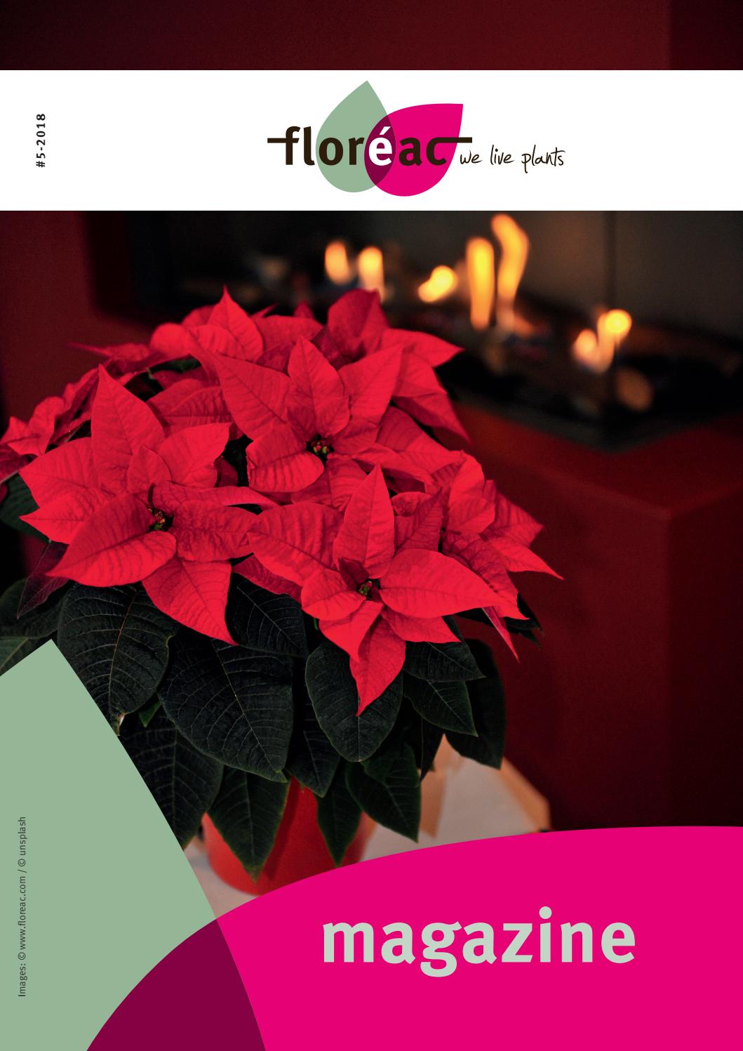 Floréac magazine #5 2018: Noël, classe et élégance by Floréac - Issuu