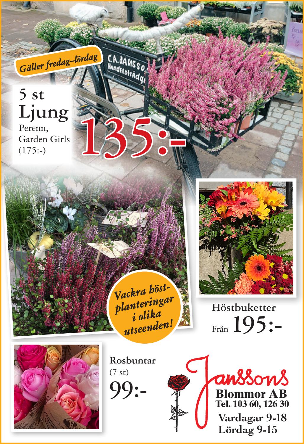 Janssons Blommor by Bonnier News - Issuu