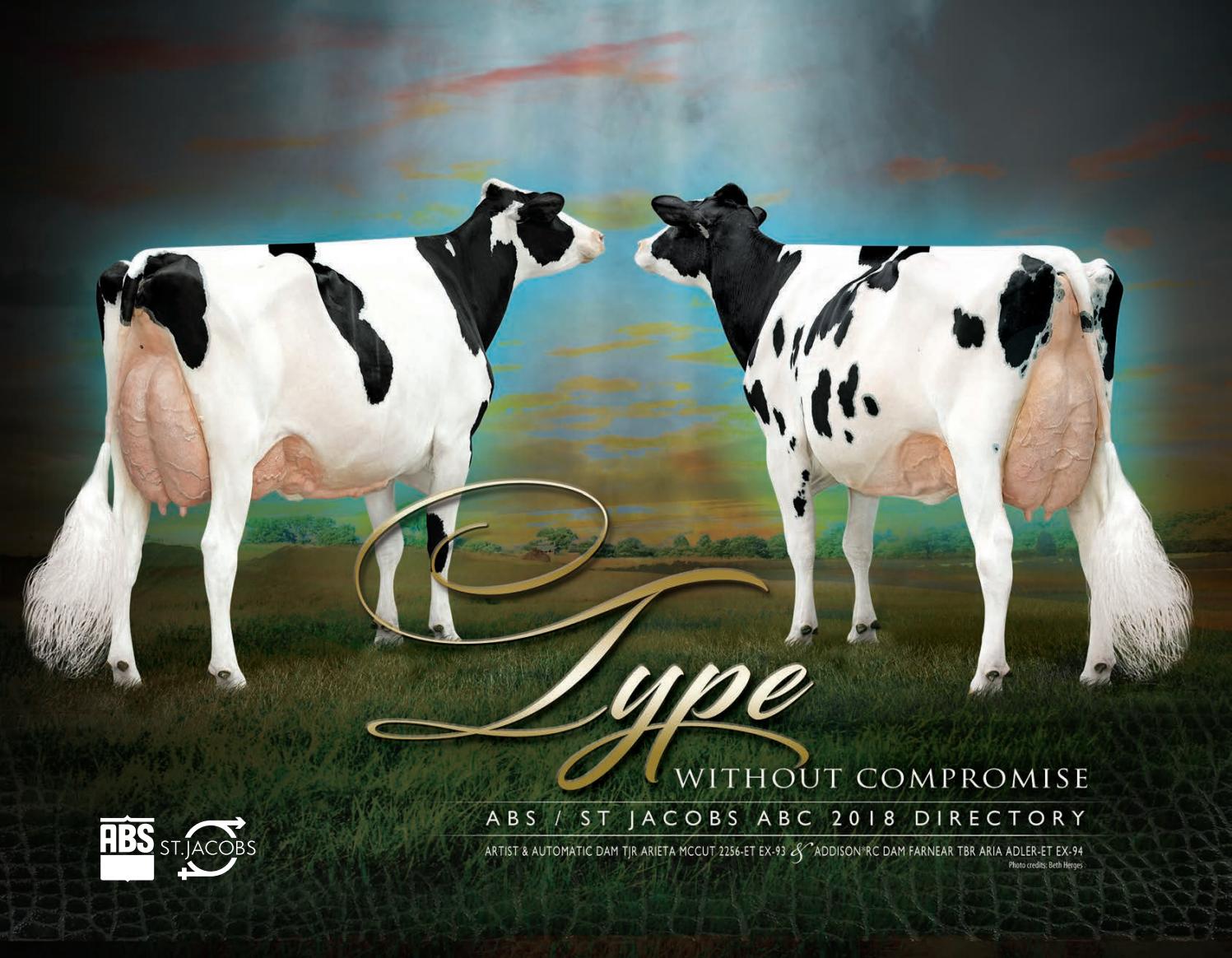 STJ Directory by ABS Global, Inc. - Issuu