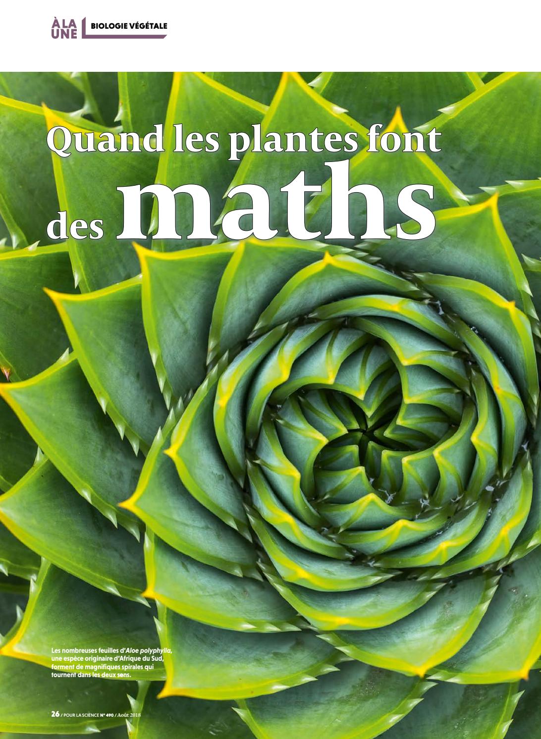 Pour la Science N°490 - rubriques by Pour la Science - Issuu