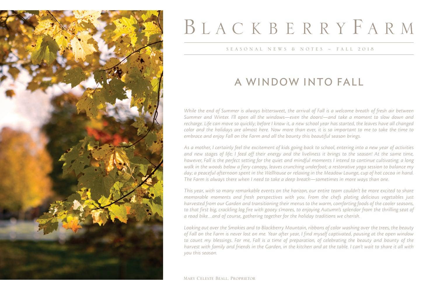 Blackberry Farm Fall Newsletter 2018 by Blackberry Farm - Issuu