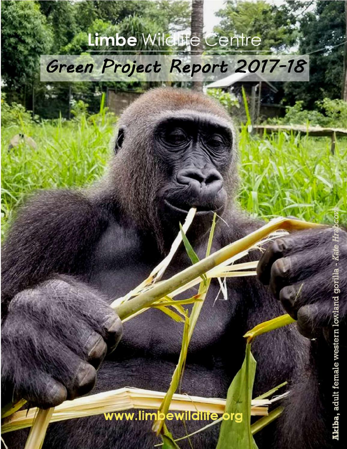 Community-based Green project | One-year report 2017-2018 by ...
