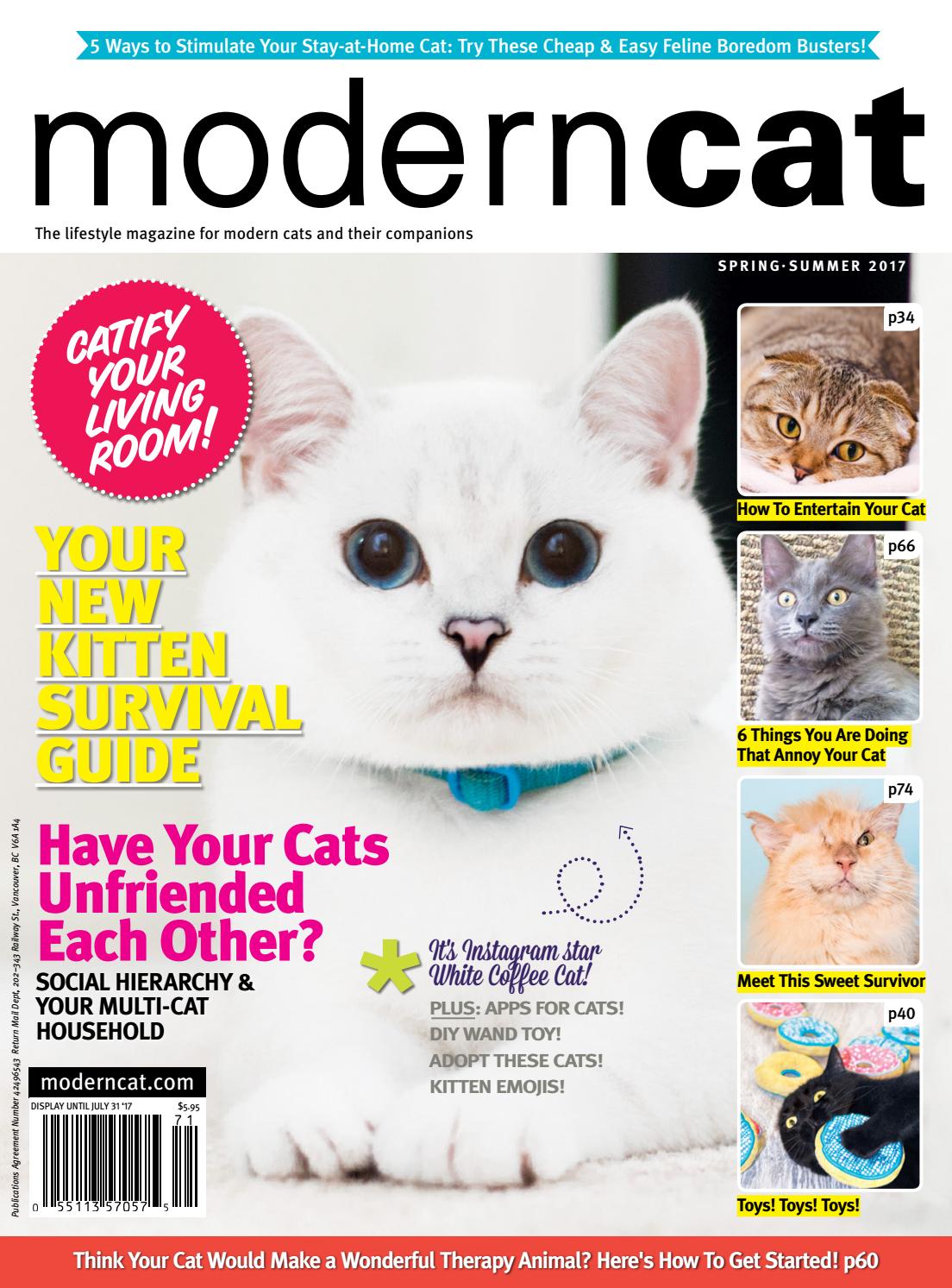 Modern Cat Spring/Summer 2017 by Modern Cat Magazine - Issuu