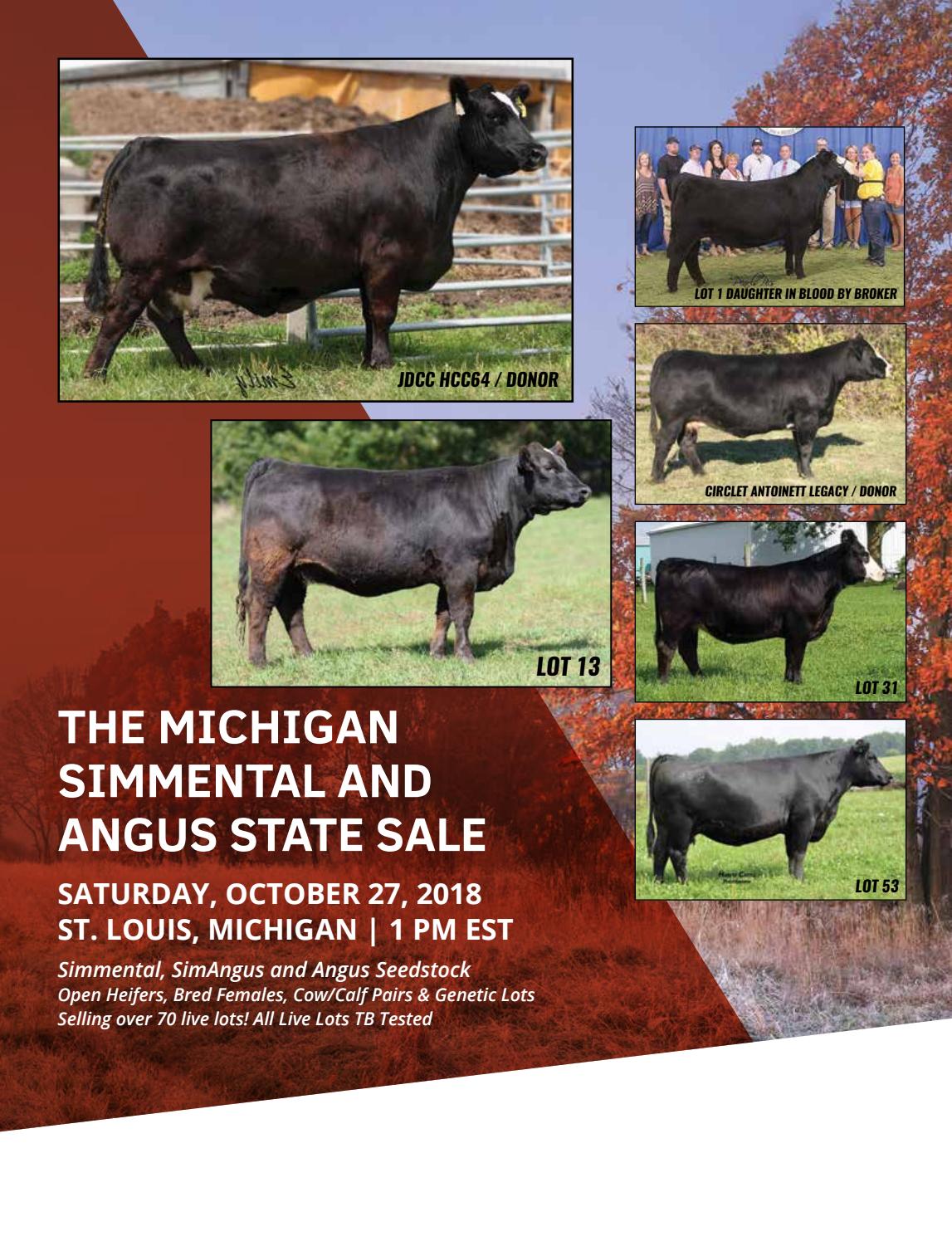 The Michigan Simmental and Angus State Sale 2018 by Generation 6 ...