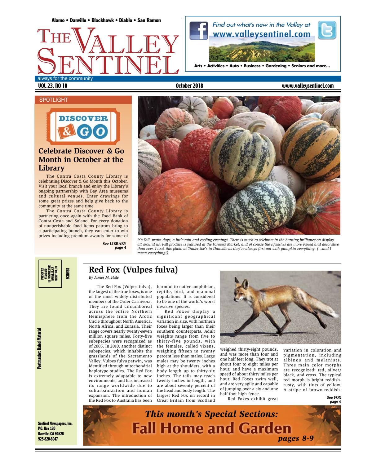 The Valley Sentinel_October 2018 by Sentinel Newspapers - Issuu