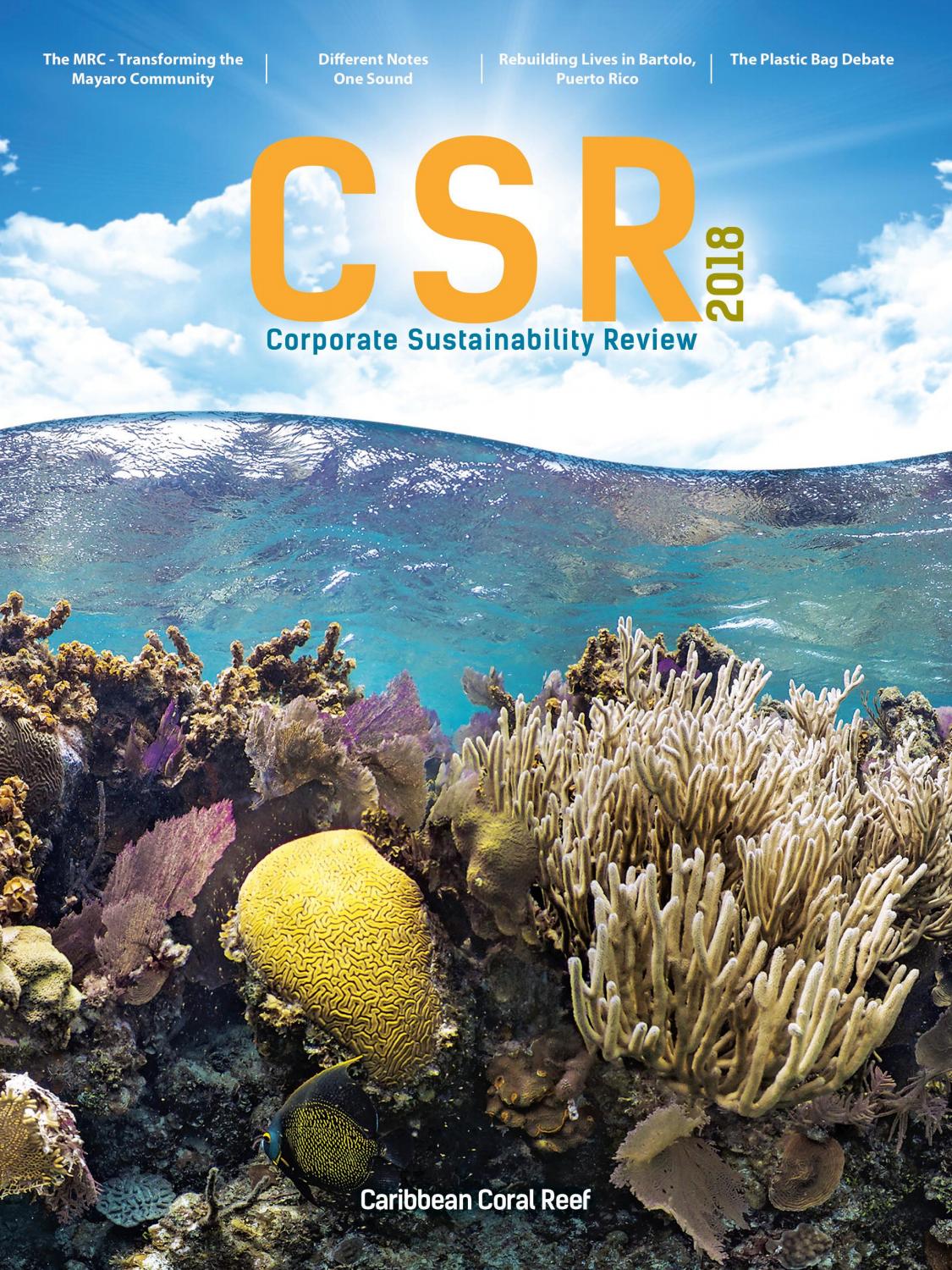 The Corporate Sustainability Review - CSR 2018 by The Corporate ...