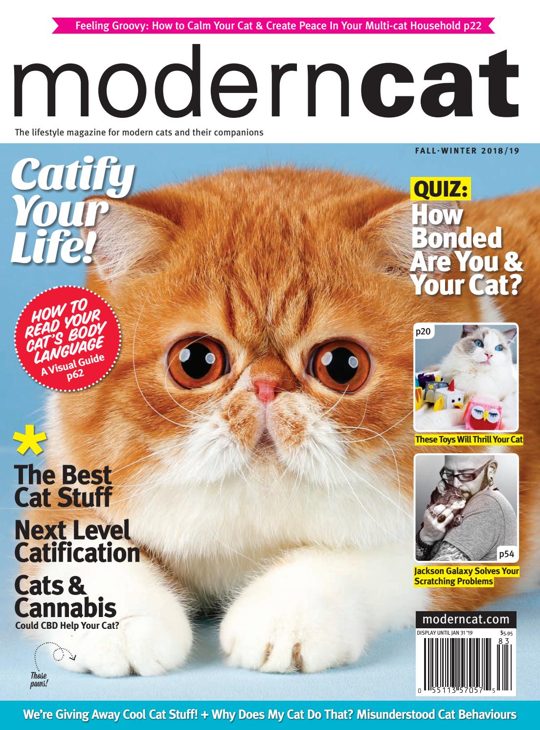 Modern Cat Fall/Winter 2018 by Modern Cat Magazine - Issuu
