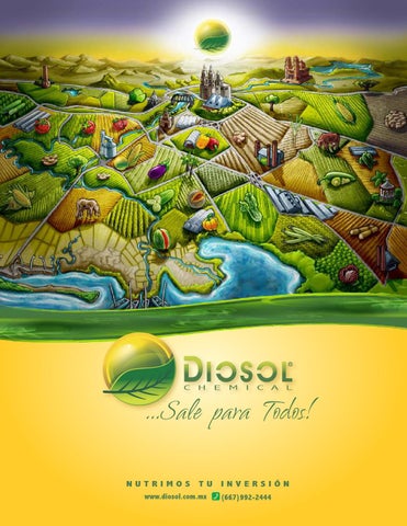 Catálogo Diosol by fitobarraza - Issuu