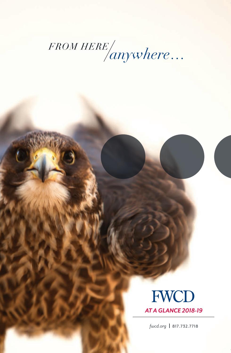 FWCD at a Glance 2018-19 by Fort Worth Country Day - Issuu