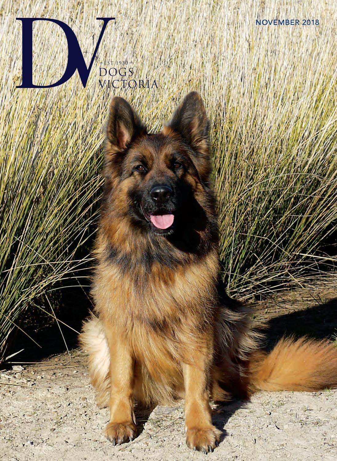 Dogs Victoria Magazine - November 2018 by Dogs Victoria - Issuu
