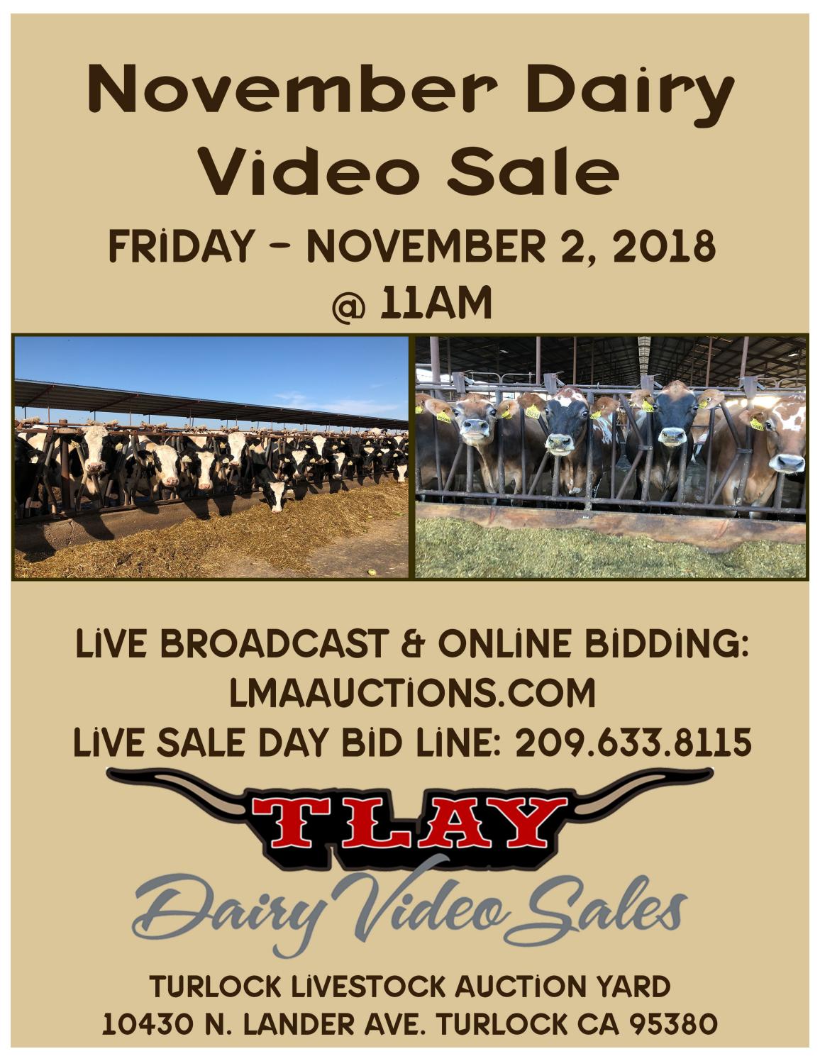 NOVEMBER 2018 TLAY DAIRY VIDEO SALE by TURLOCK LIVESTOCK AUCTION YARD ...