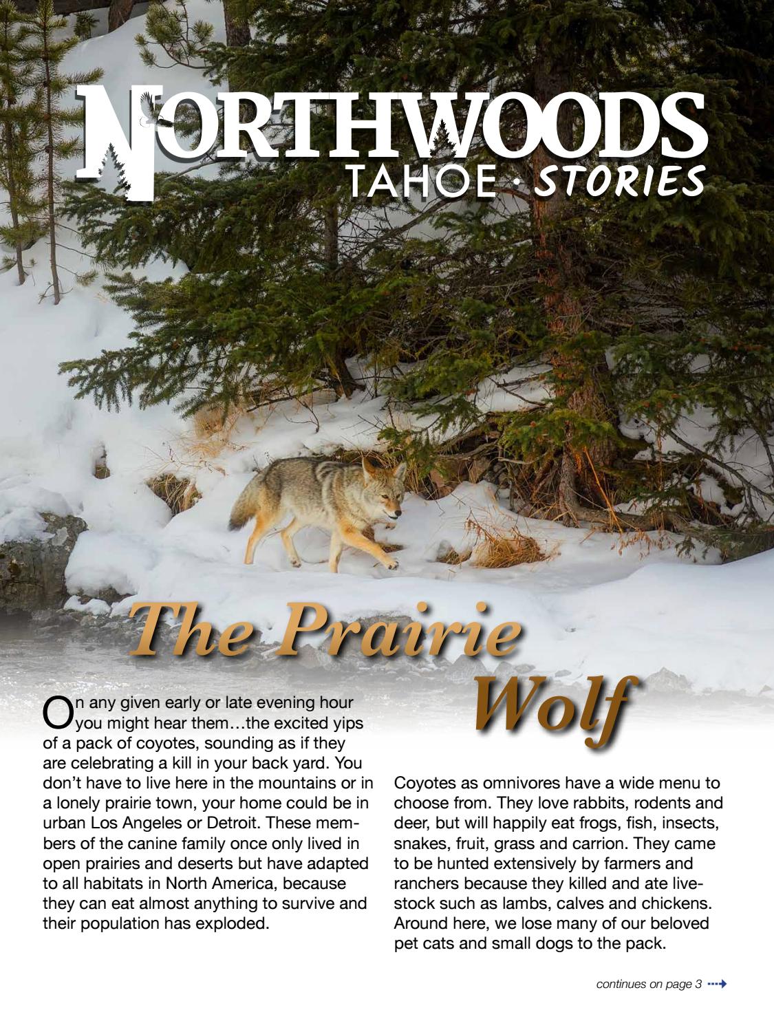 The Prairie Wolf by Community Media LLC - Issuu