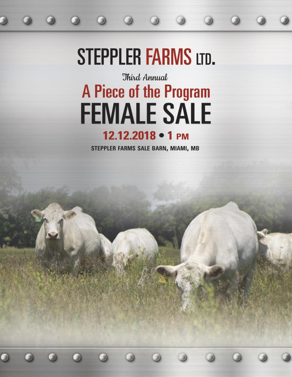 Steppler Farms Female Sale 2018 by Charolais Banner - Issuu