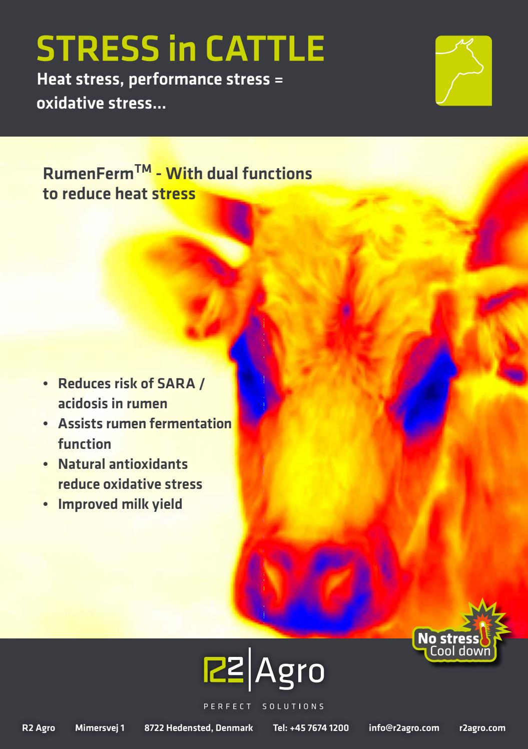 Stress in cattle by Grafisk Forum - Issuu