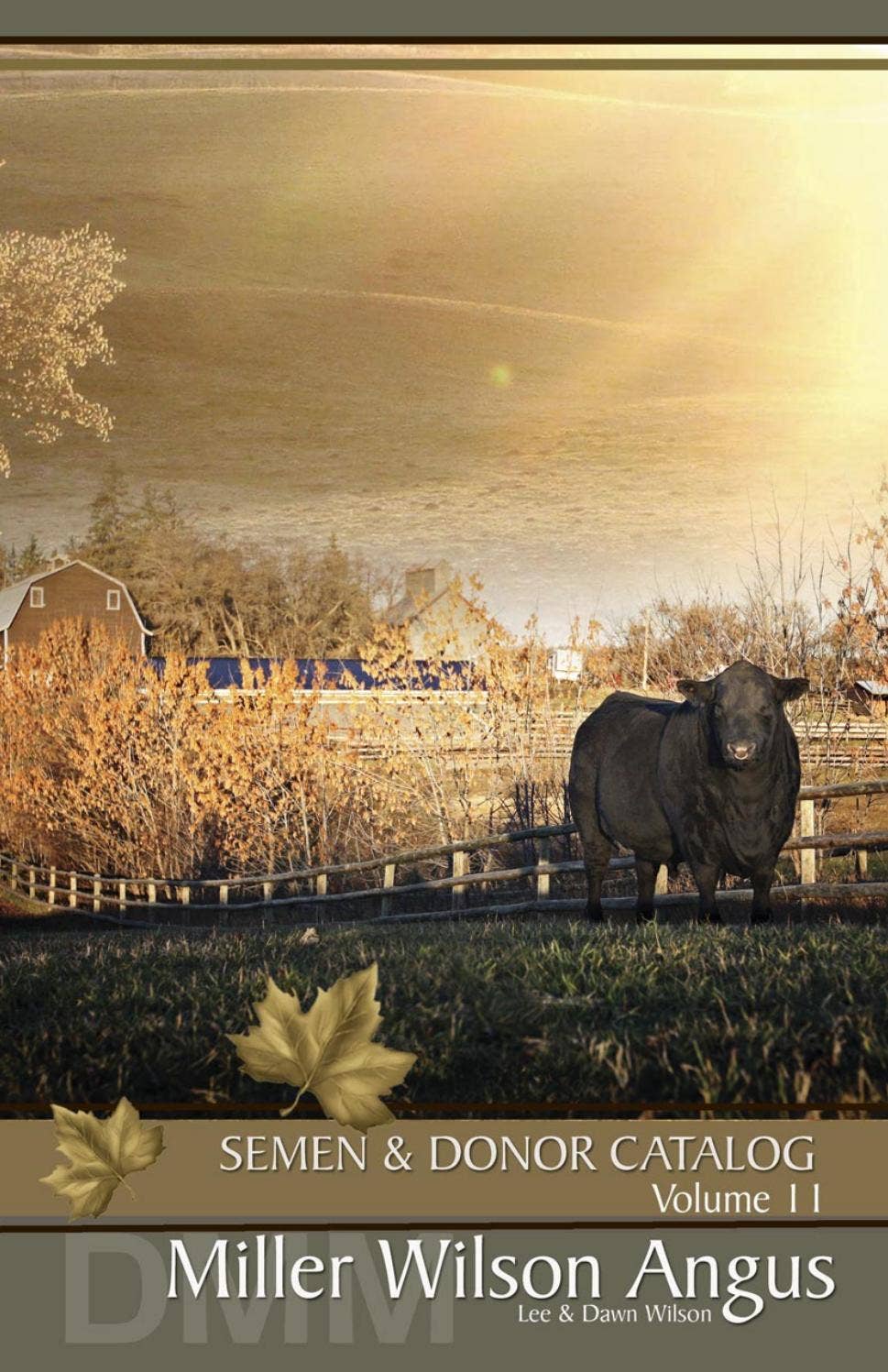 Miller Wilson Angus Semen and Embryo catalog Volume 11 by Kim Matthews ...