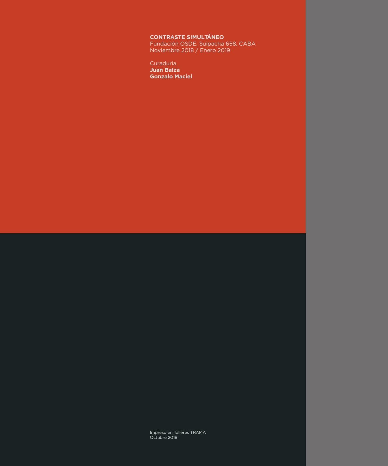 Contraste simultáneo by Espacio de Arte - Fundación OSDE - Issuu