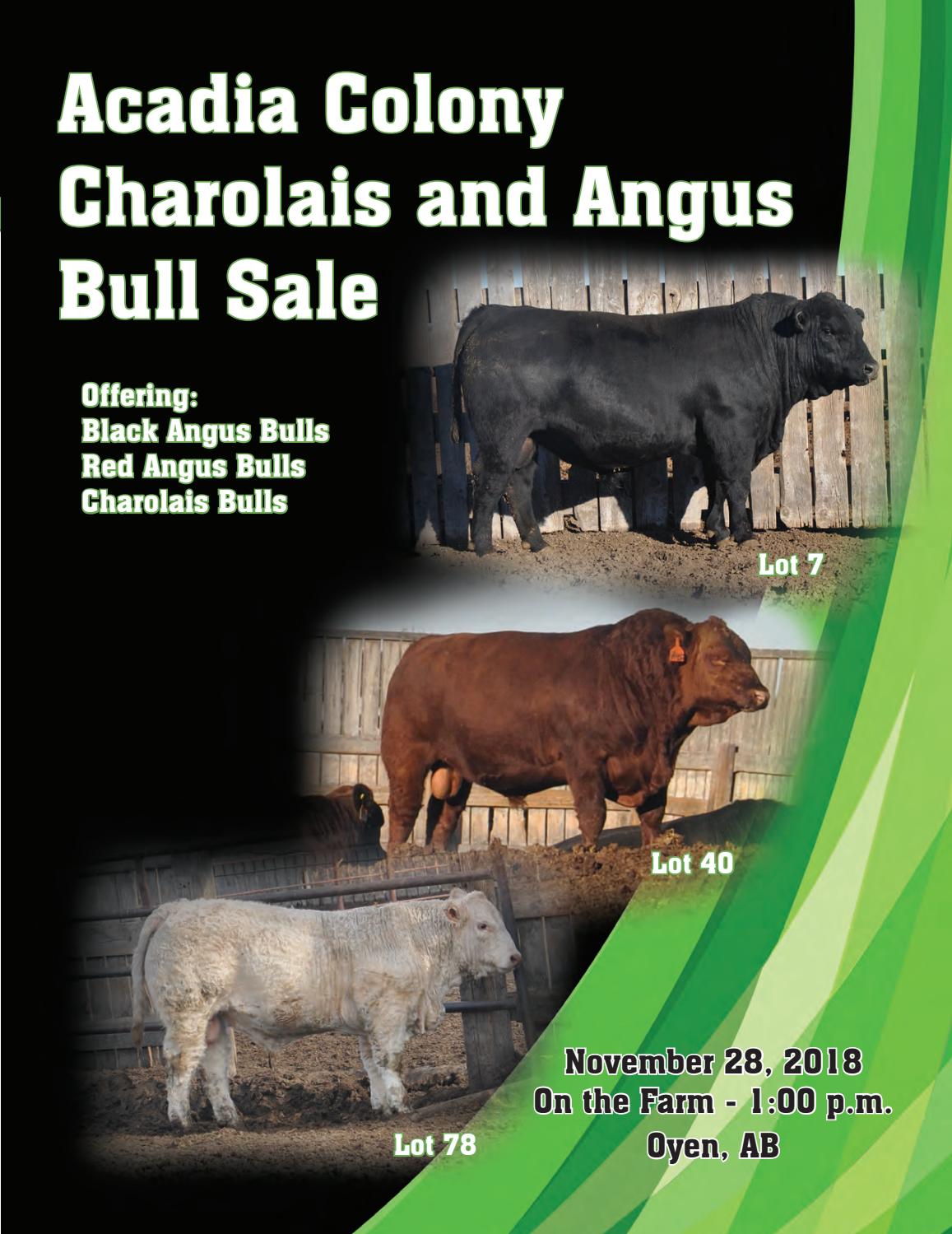 Acadia Colony 2018 Bull Sale by Today's Publishing Inc. - Issuu