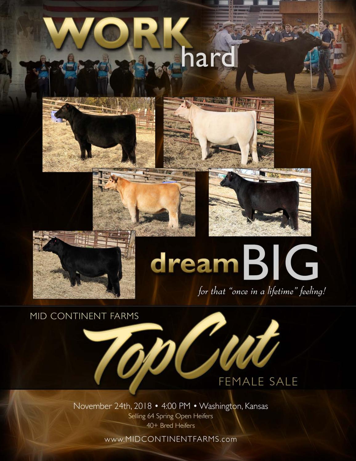 Mid Continent Farms - 2018 Female Sale Catalog by LivestockDirect - Issuu