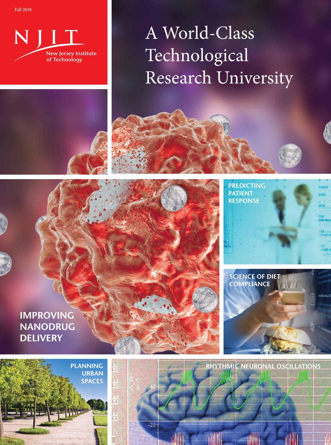NJIT Research Brochure-Fall 2018 by NJIT - Issuu