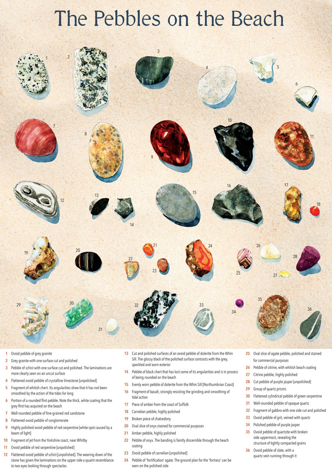 The Pebbles on the Beach pebble guide by Faber - Issuu