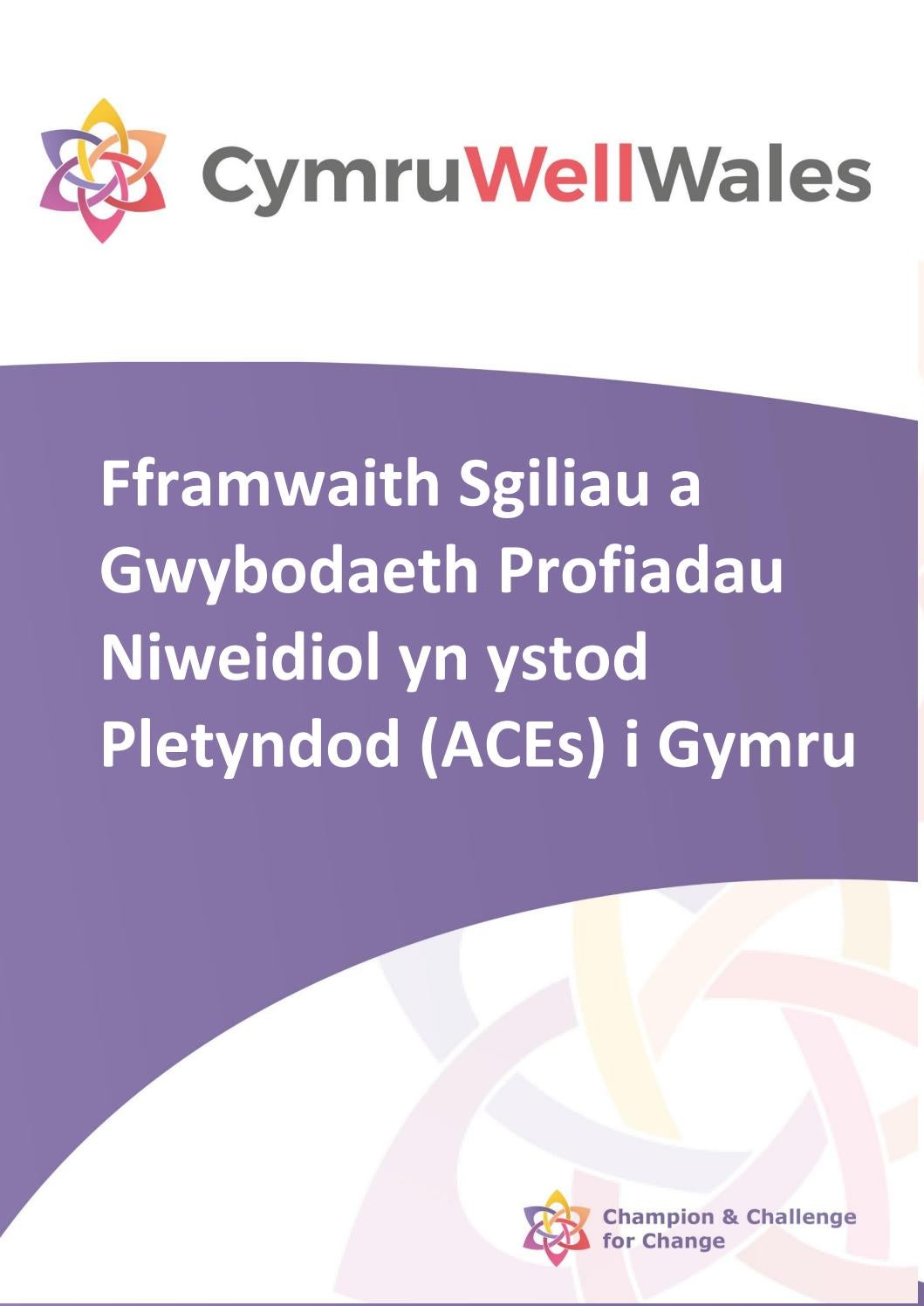 Skills & Knowledge Framework - Welsh by ACE Support Hub Cymru - Issuu