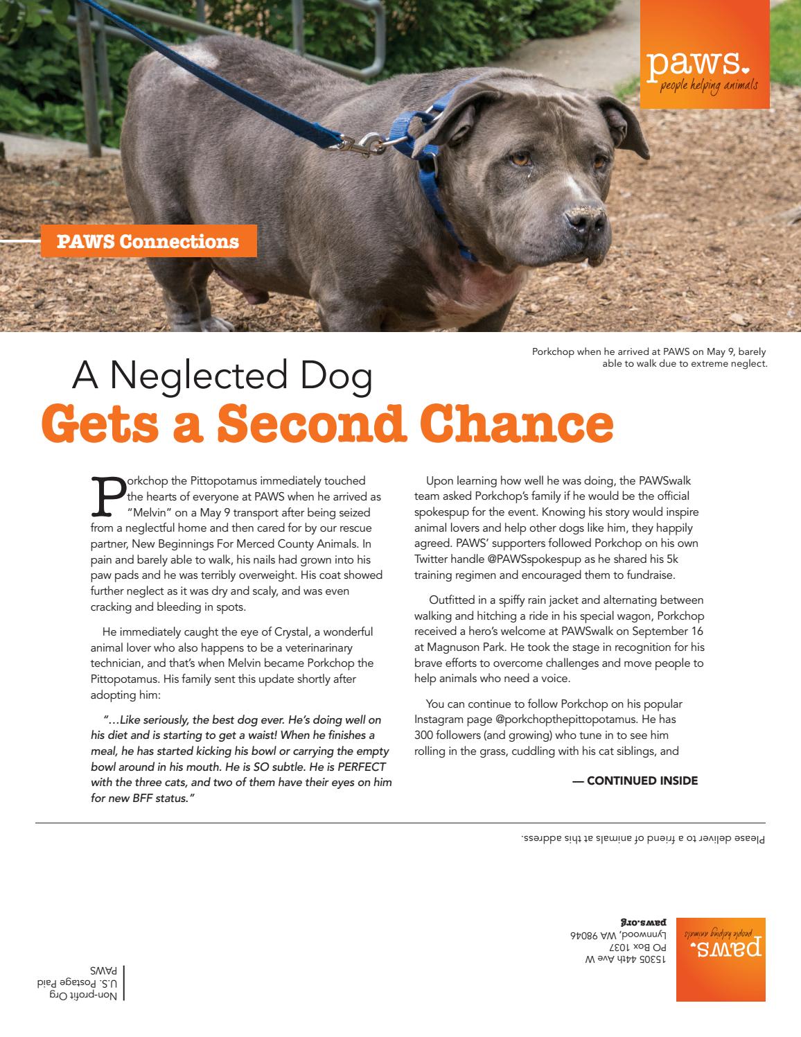 PAWS Mini Magazine Fall 2018 by PAWS - Issuu