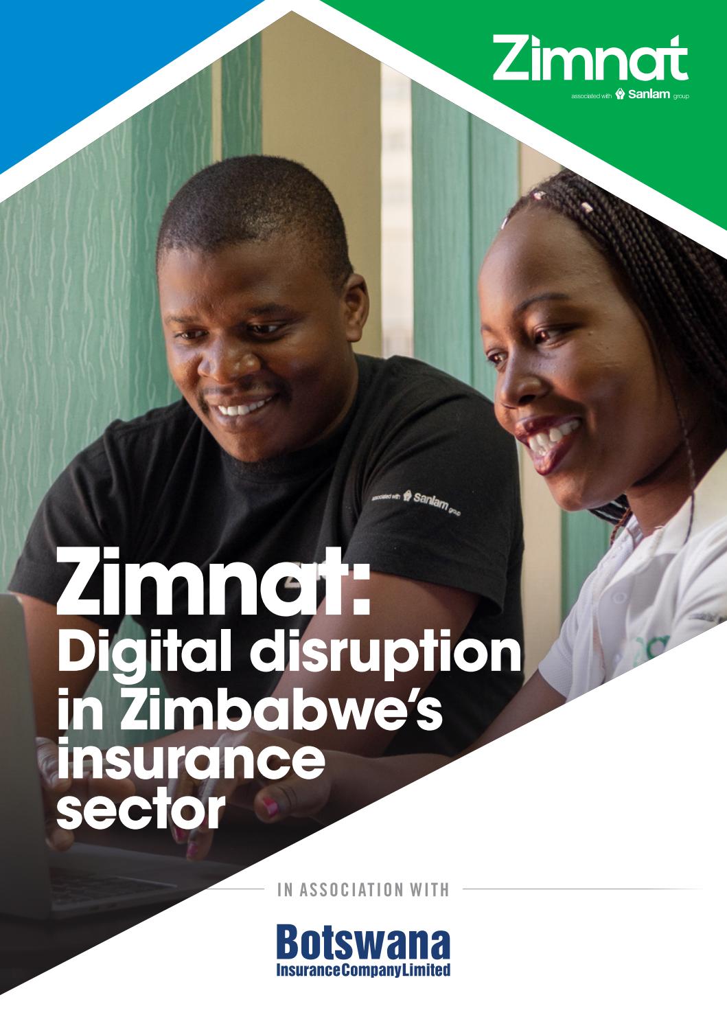 Zimnat Brochure 2018 by Business Chief Africa - Issuu