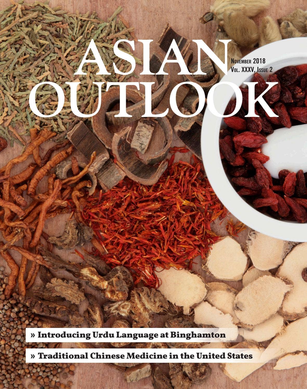 Asian Outlook | Fall 2018 Issue #2 by Asian Outlook - Issuu