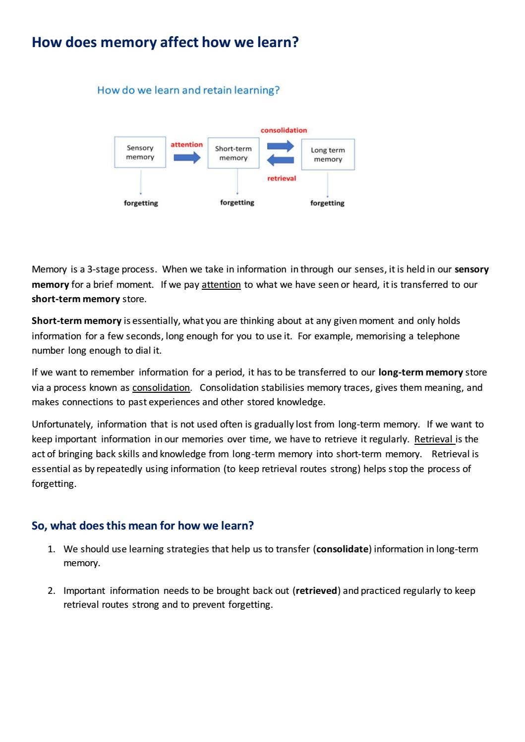 How does memory affect how we learn? by Schudio - Issuu