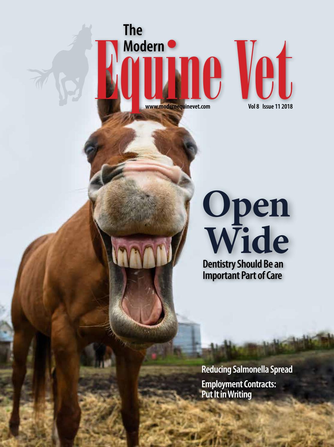 The Modern Equine Vet November 2018 by The Modern Equine Vet - Issuu