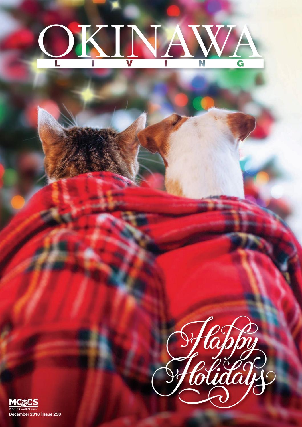 Okinawa Living Magazine by MCCS Okinawa - Issuu