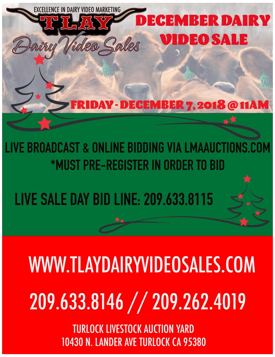 TLAY Dairy Video Sale December 2018 by TURLOCK LIVESTOCK AUCTION YARD ...