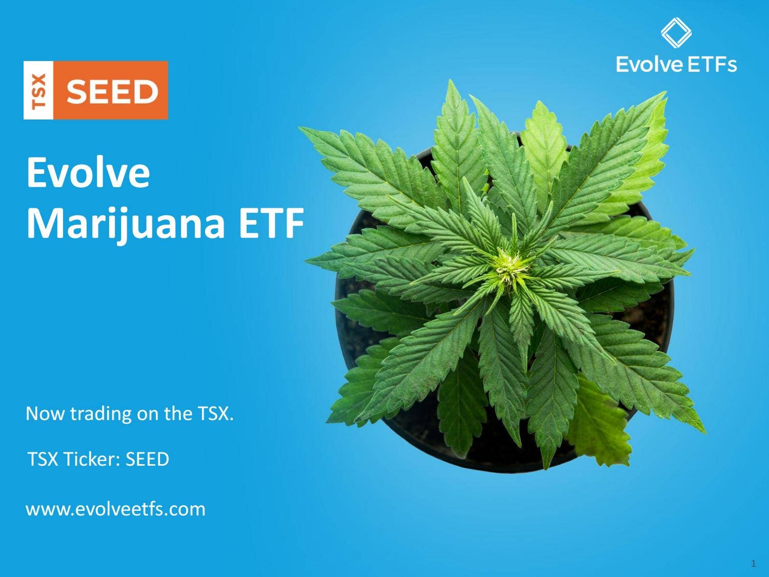 Evolve Marijuana ETF (SEED) by Evolve ETFs - Issuu