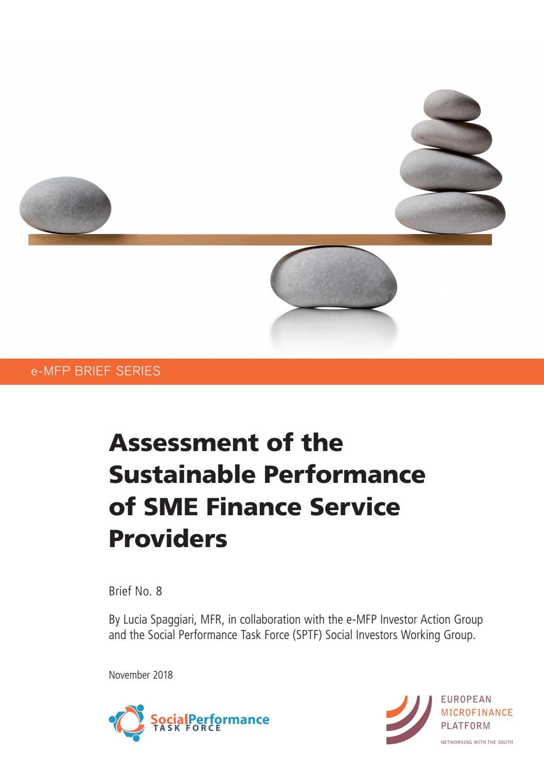 Brief No.8: Assessment of the Sustainable Performance of SME Finance ...