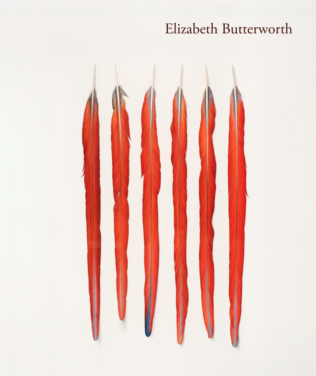 Elizabeth Butterworth by The Redfern Gallery Ltd - Issuu