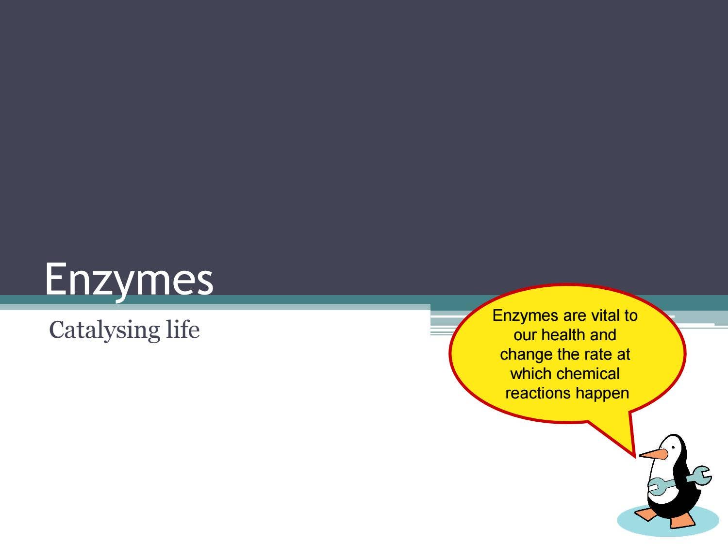 Lesson 2 ESC and Specificity by Ullswater Community College - Issuu