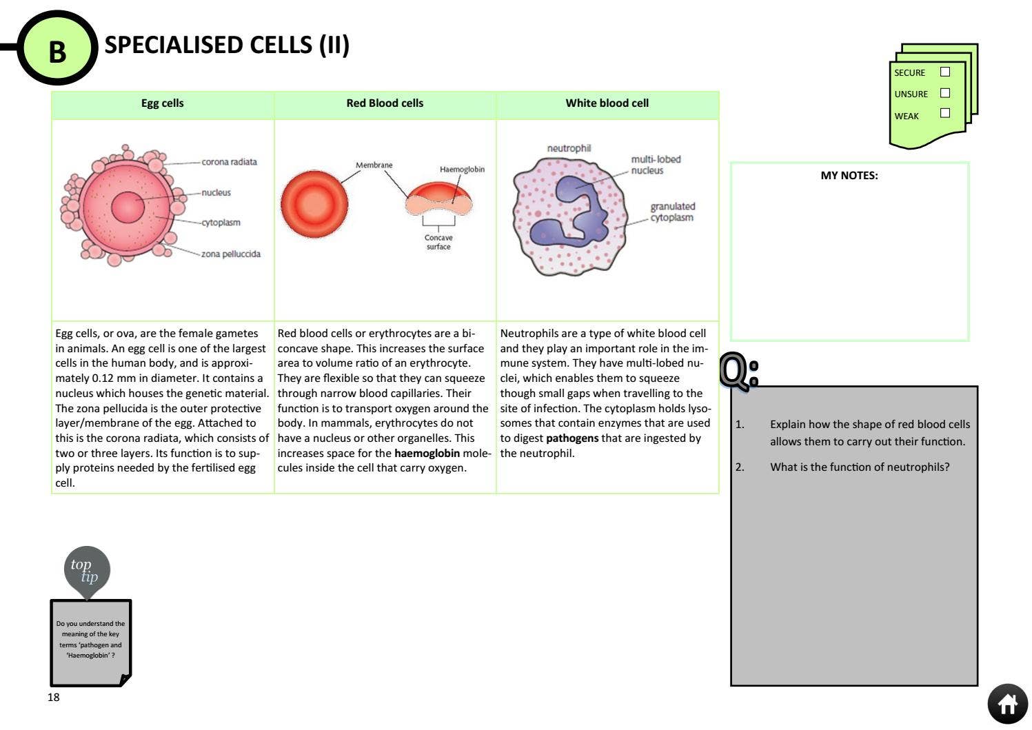 Unit 1 Revision Guide by Ullswater Community College - Issuu