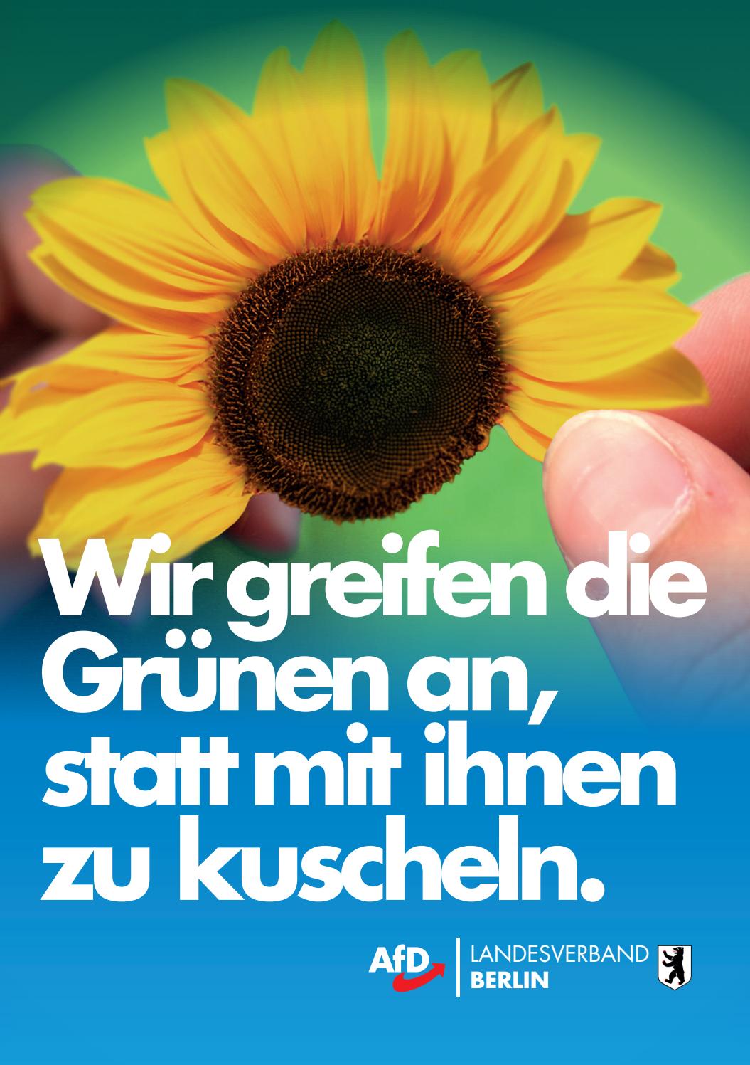 AfD-LV-GRÜNE_Flyer by kommunikation aus berlin - Issuu
