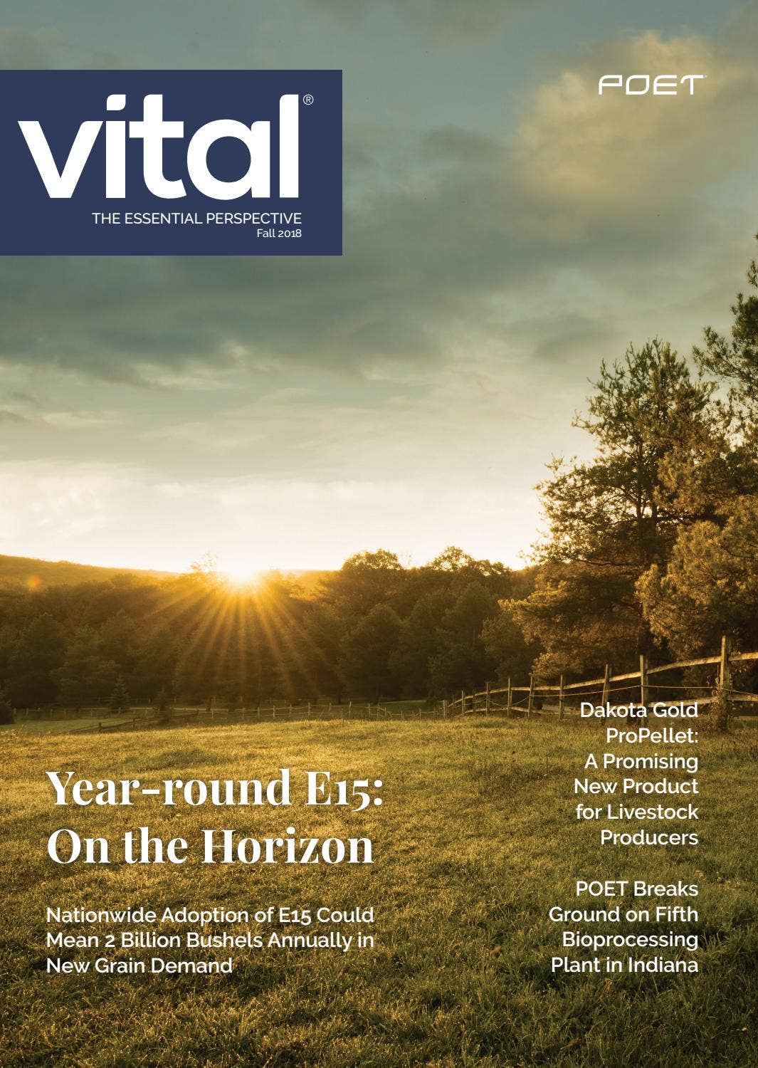 Vital Magazine - Fall 2018 by Vital Magazine - Issuu