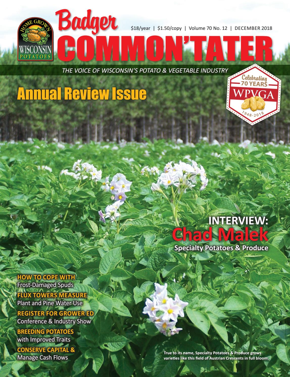 1812_Badger Common'Tater by bctater - Issuu