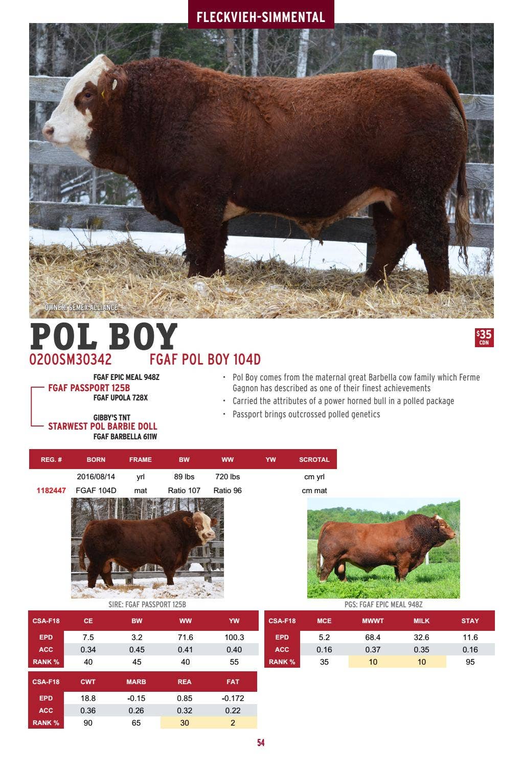 Semex Beef - 2019 Management Handbook - Canada by Semex - Issuu