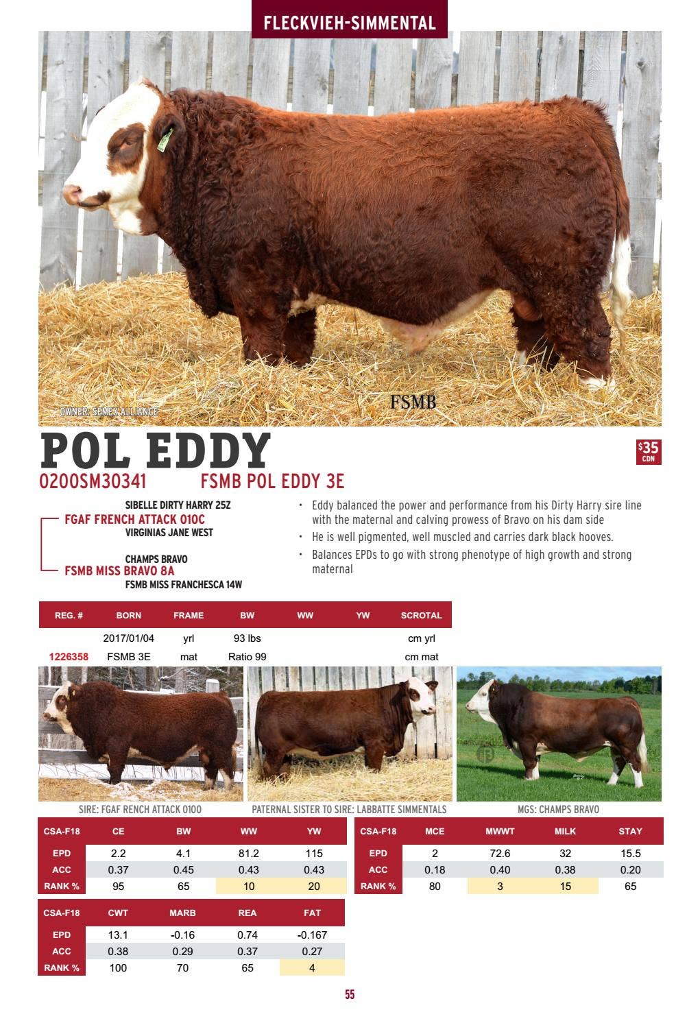 Semex Beef - 2019 Management Handbook - Canada by Semex - Issuu