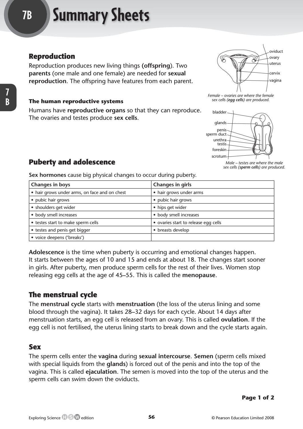 7B Summary Sheets by Ullswater Community College - Issuu