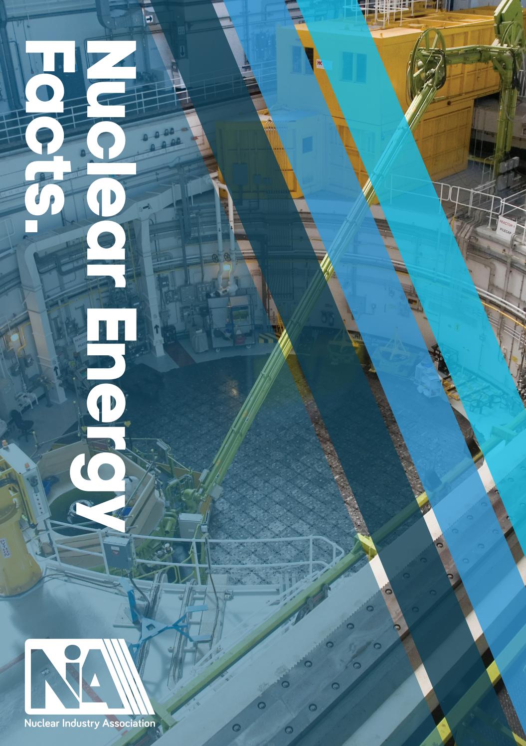 Nuclear Energy Facts 2018 by Nuclear Industry Association - Issuu